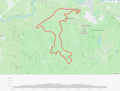 Birkie Trail Run | American Birkebeiner