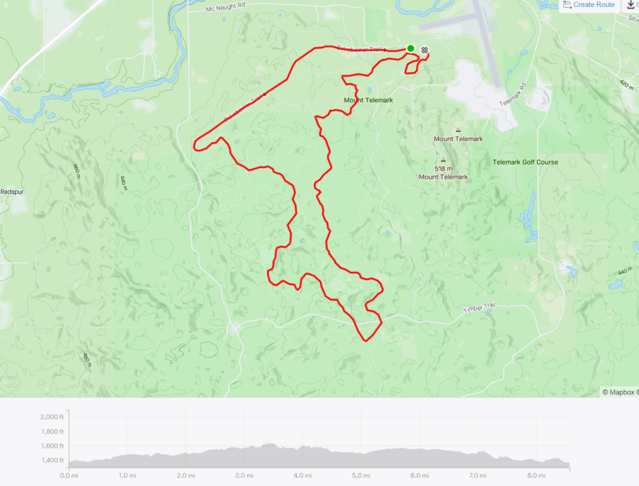 Birkie Trail Run | American Birkebeiner