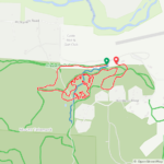 Birkie Trail Run | American Birkebeiner